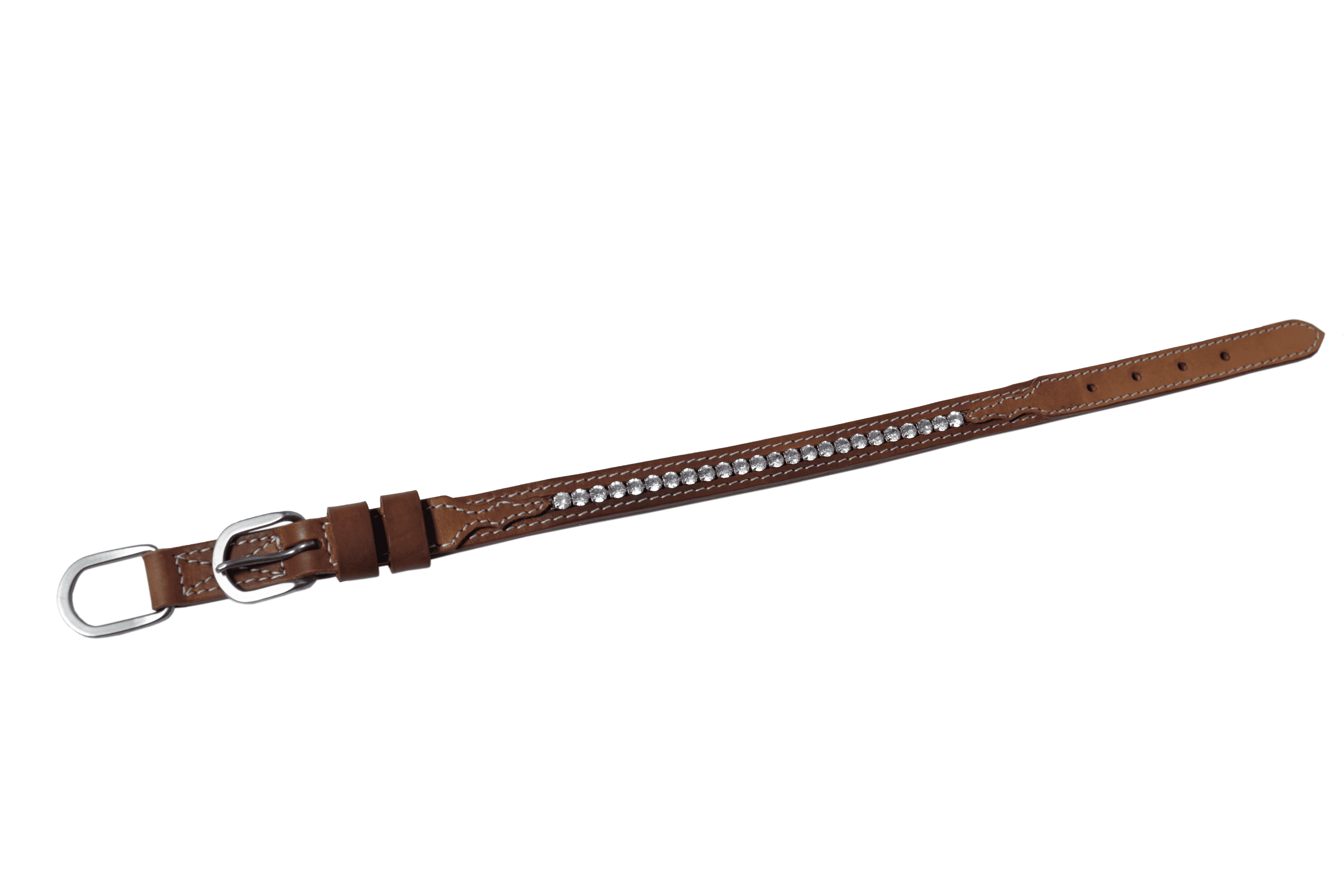 Dogs Accessories - Pro Classic Global
